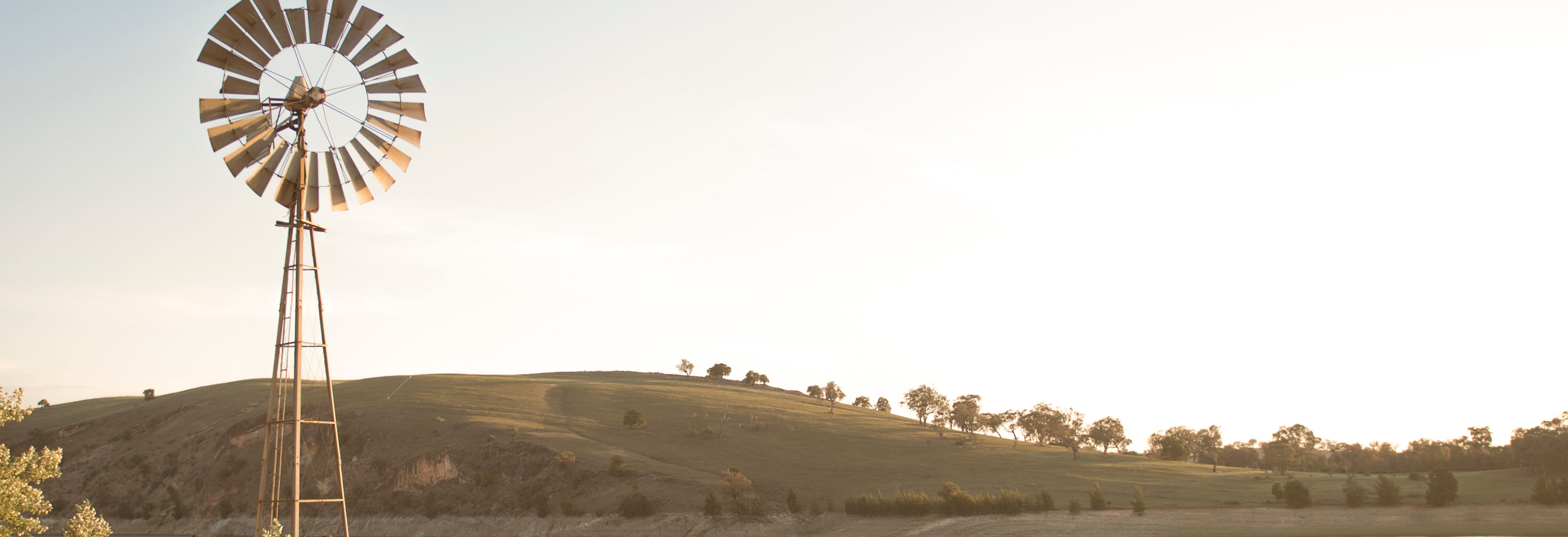 Visit Yass Valley - Visitor Information, Accomodation, Wineries, Dining ...